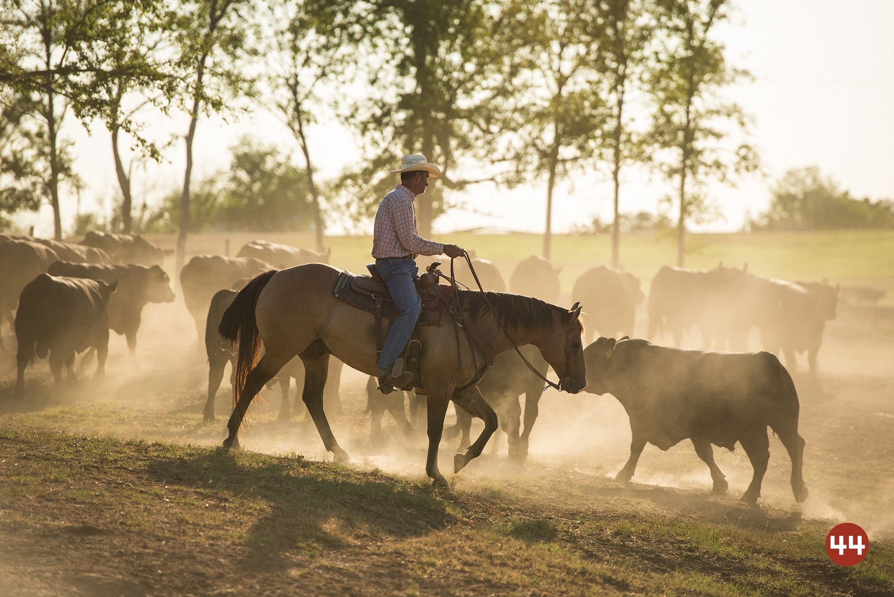 Wagyu vs. Angus Beef: What's the Difference and Which Is Better?