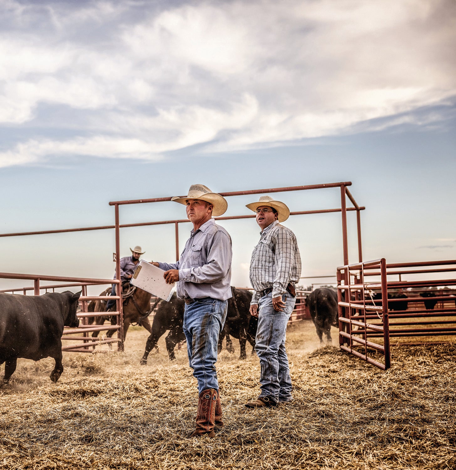 A Place To Call Home - Our Story | 44 Farms - Quality Since 1909 – 44 ...